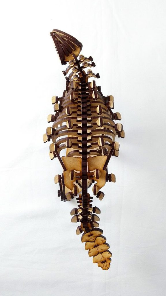 Versión armable 3D del Stegouros elengassen en Chile