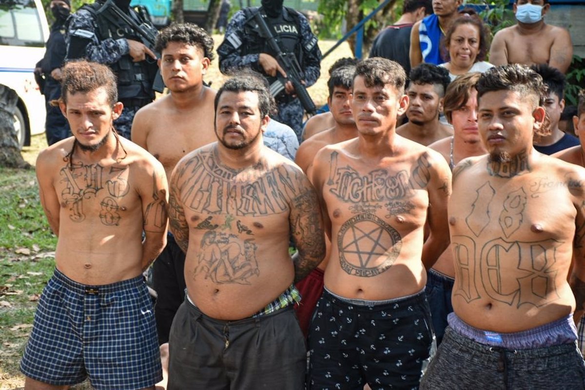 Policía De El Salvador Detiene A Más De 1 400 Pandilleros En Un Día