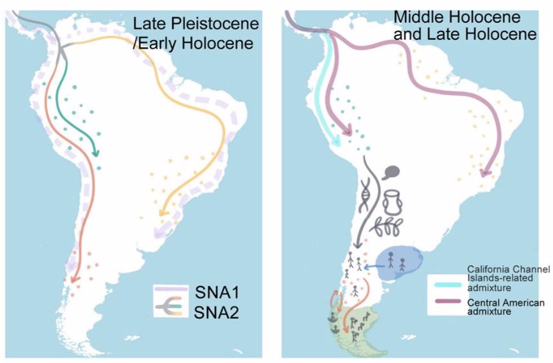 Genética y lingüística revelan orígenes mapuche en Chile