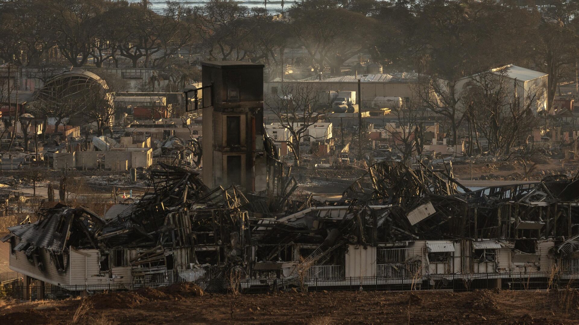 Más De 800 Personas Siguen Desaparecidas Por Incendios En Maui Hawái