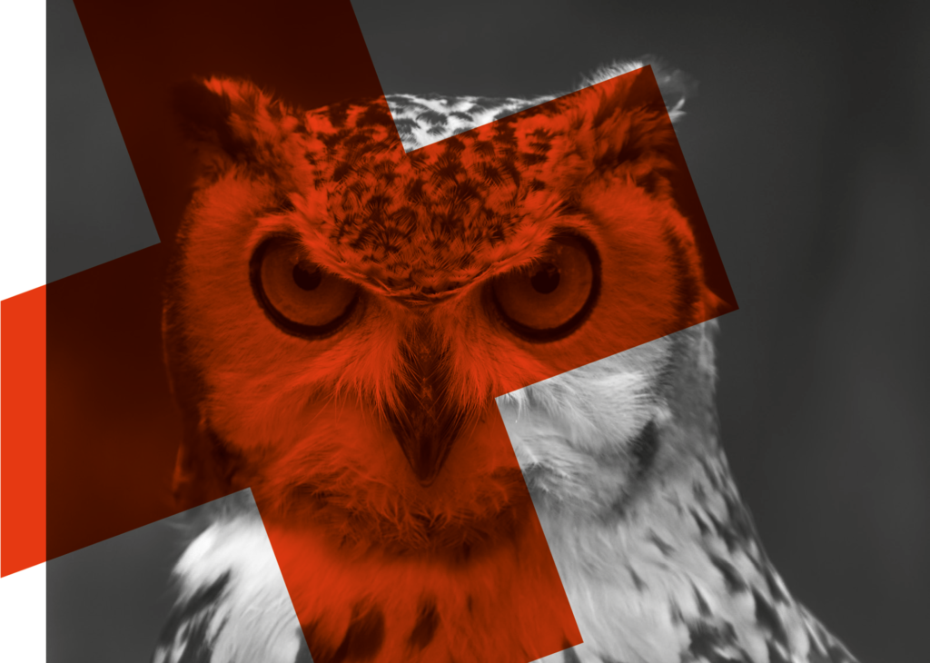 Presentación de Diamela Eltit en Falla humana: Retrato de la lucha de ...